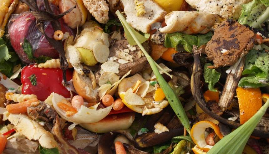 The Top Five Easiest Ways Of Cutting Down On Home Waste